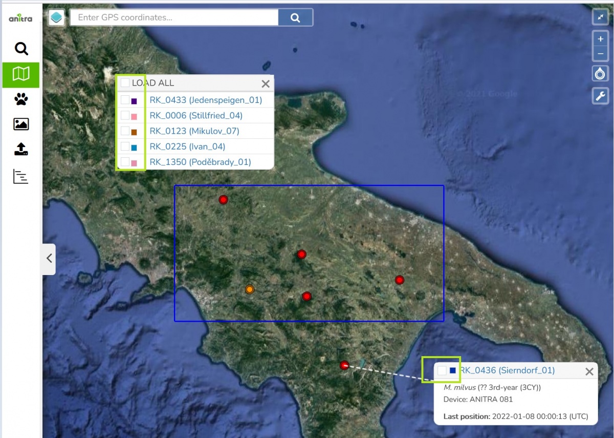 Red kite wintering census - Anitra platform tips - Anitra Support