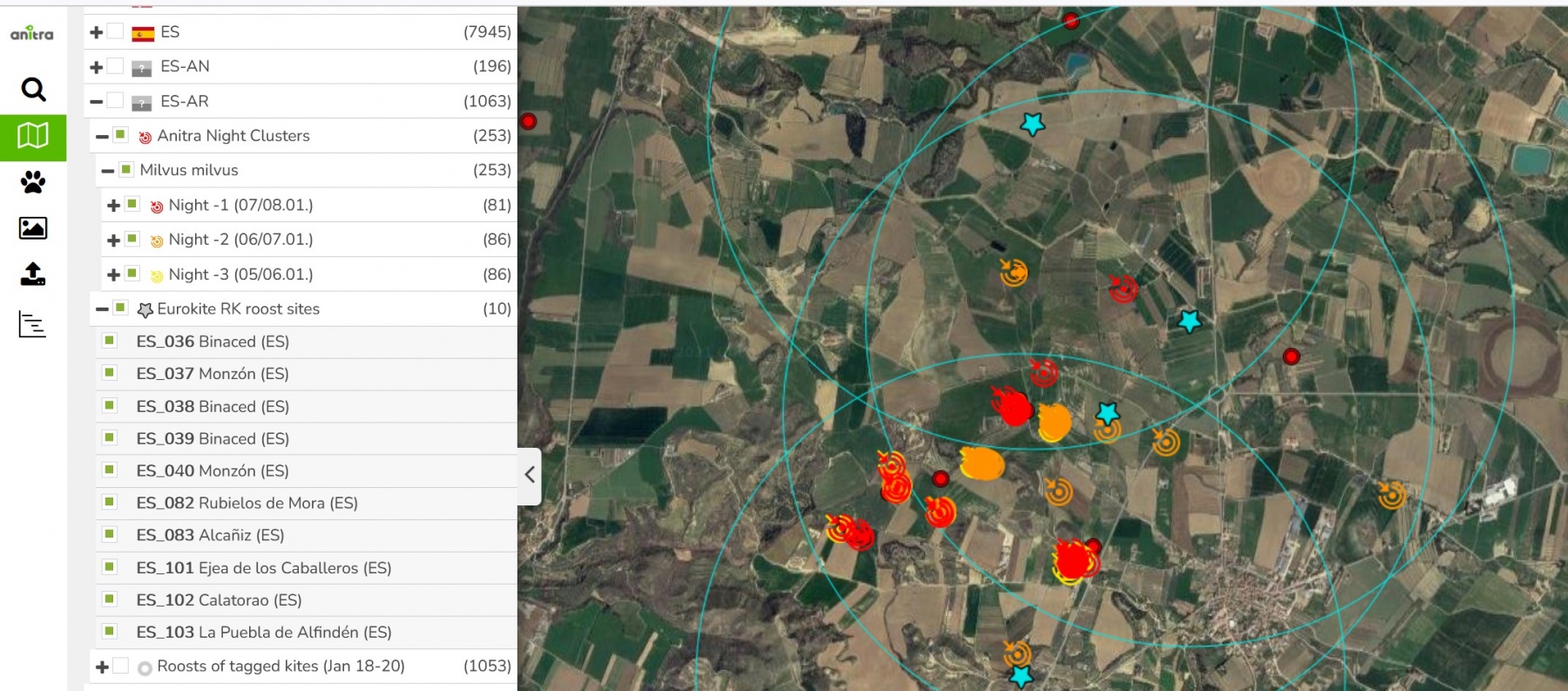 Red kite wintering census - Anitra platform tips - Anitra Support